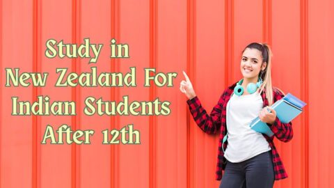 Study in New Zealand for Indian Students After 12th in 2025